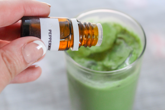 Vegan Matcha Green Tea Latte Drinks: Iced & Hot Variations