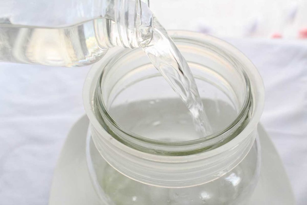 Ultimate Detox Water Recipe with Essential Oils Concentrate